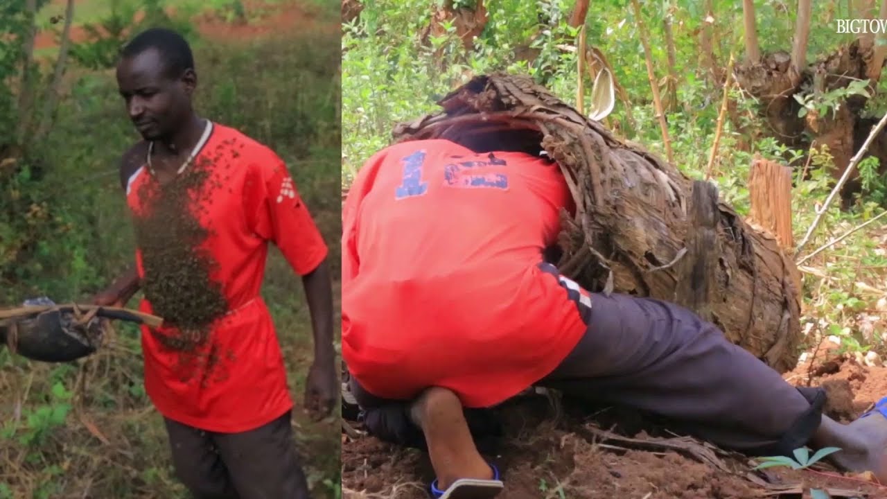 Uyu Niwe Bita Umwami w'Inzuki|Ndazihamagara Zikaza Nkaziririmbira - YouTube