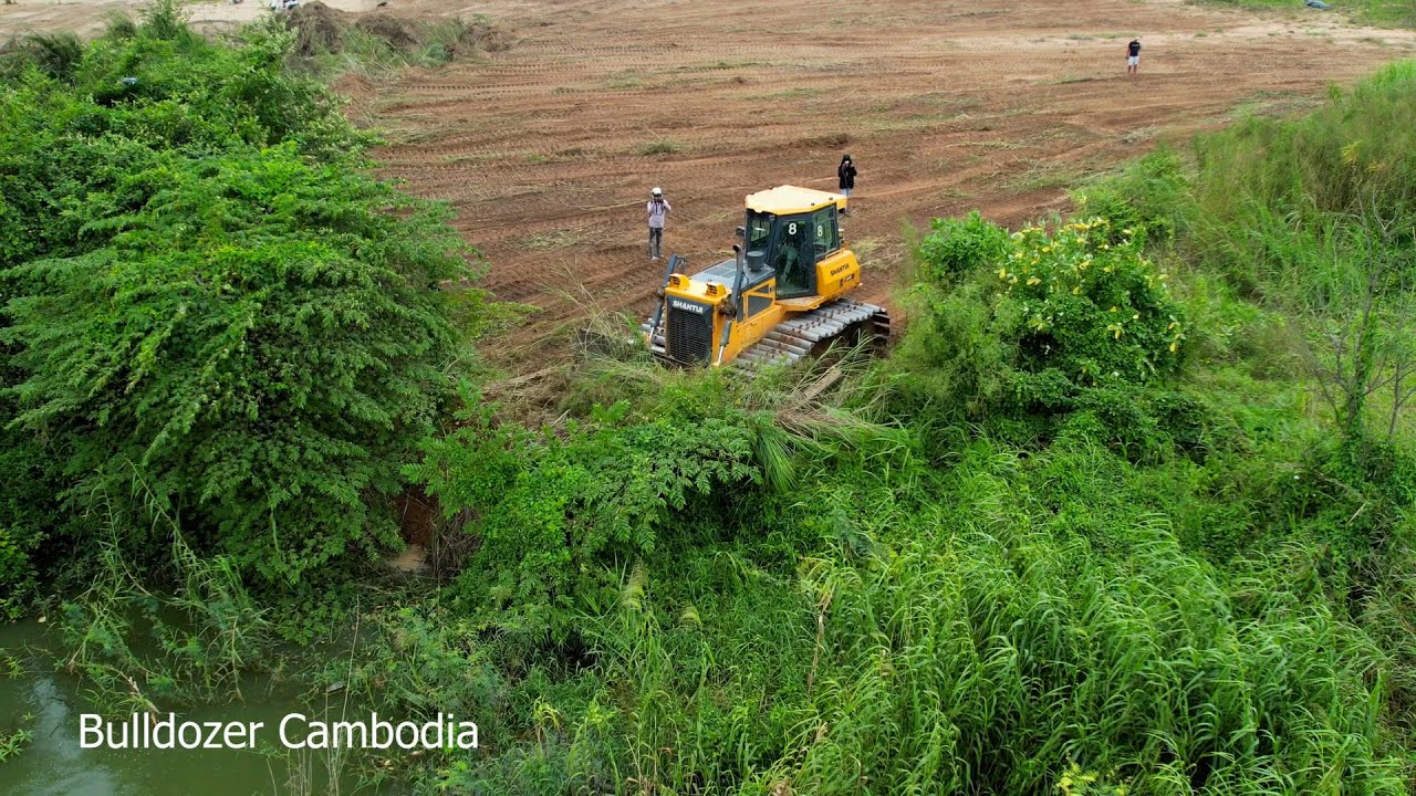 Unbelievable , New Project Processing Dozer Open Forest Road Excellent ...