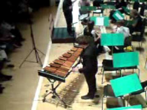Amazing Xylophone player, awesome talent!! - YouTube