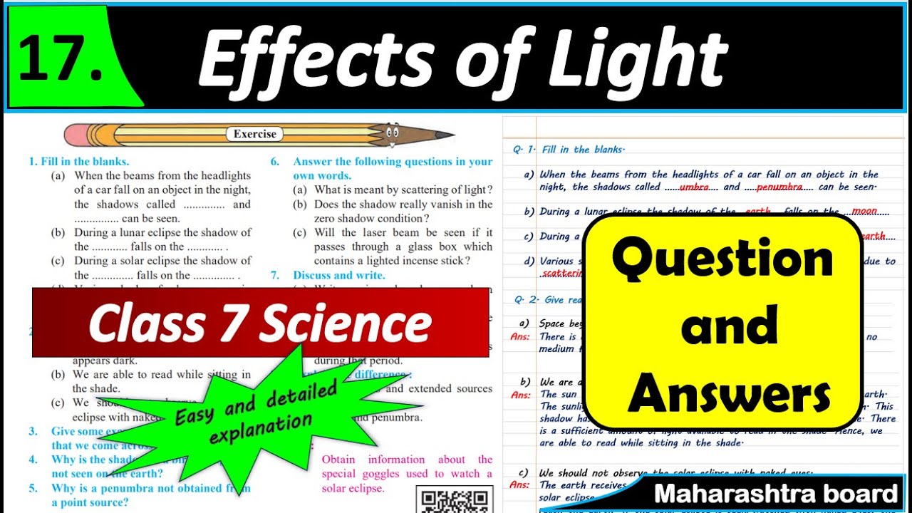 Effects of Light | Question Answers | Class 7 | Chapter 17 | Science ...