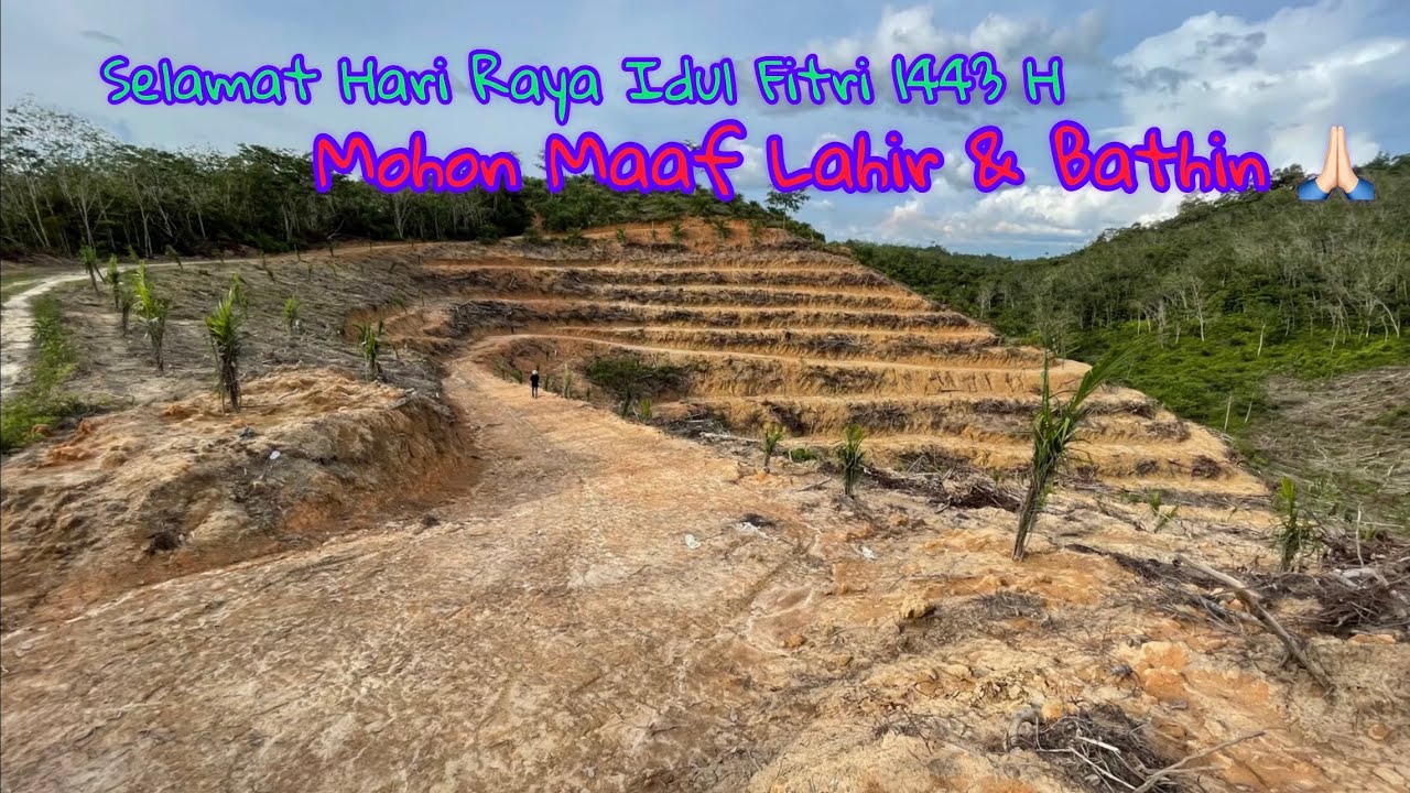 Sistim Titik Tanam Kelapa Sawit Pada Lahan Terasering Kontur - YouTube