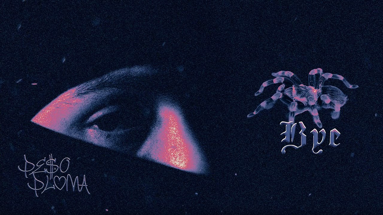 BYE (Visualizer) - Peso Pluma - YouTube
