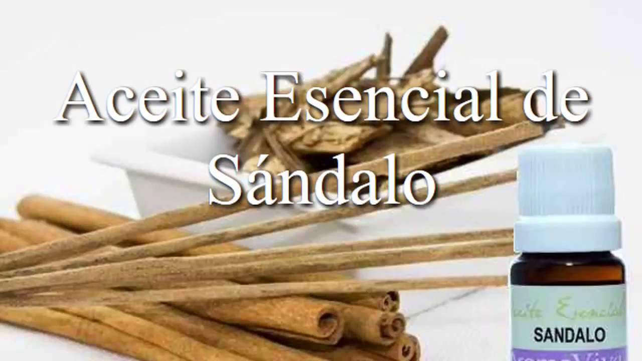 aceite esencial de sandalo - YouTube