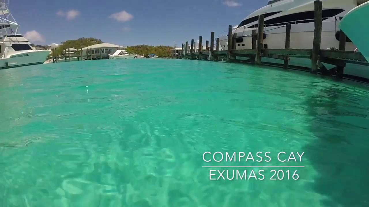 Compass Cay - Exumas - YouTube