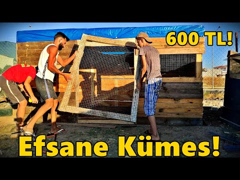 Efsane Kümes Yapmak-3,80-1,60-Maliyeti 600 TL-Baştan Sona!-#Tekirdağ#kümes#civciv#tavuk#ördek#hindi