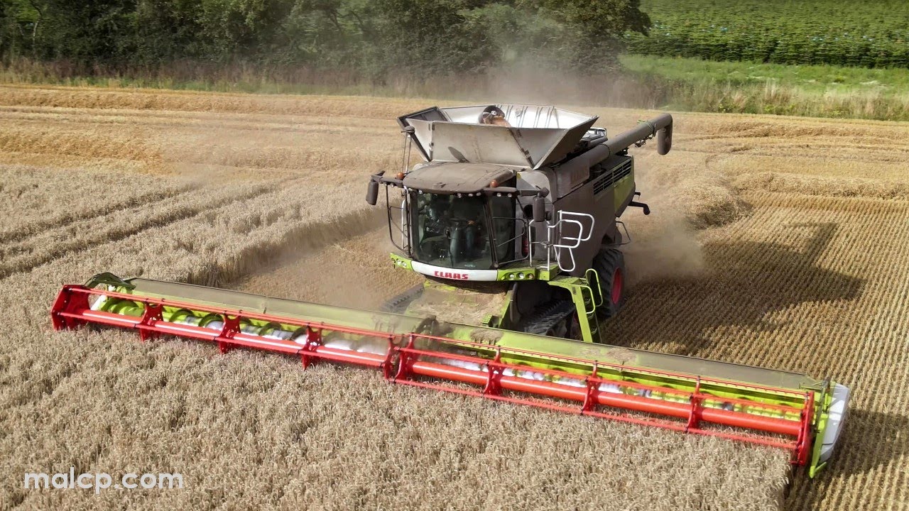 4Kᵁᴴᴰ Harvest 2023: Claas Lexion 780 TT cutting wheat in Sternfield ...