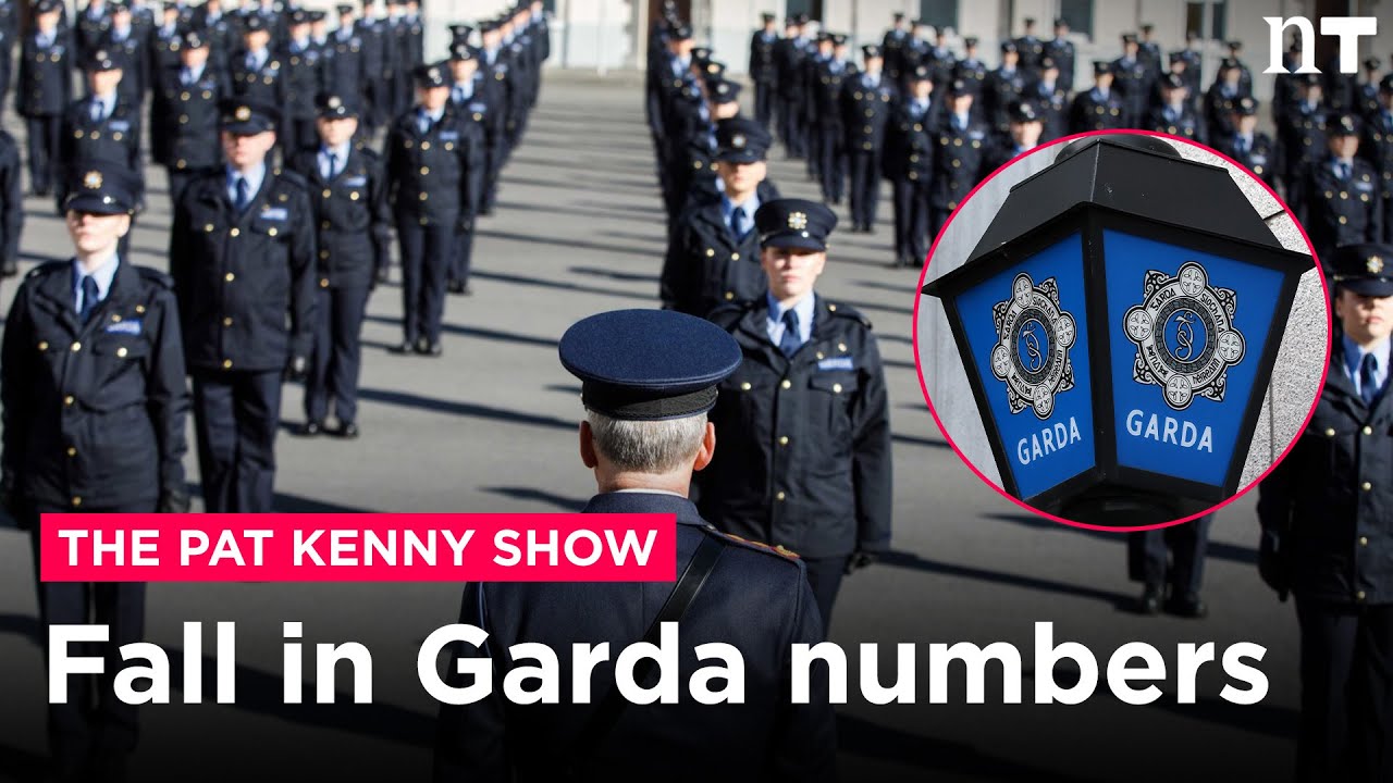 Falling Garda numbers ‘a real crisis that needs addressing immediately ...