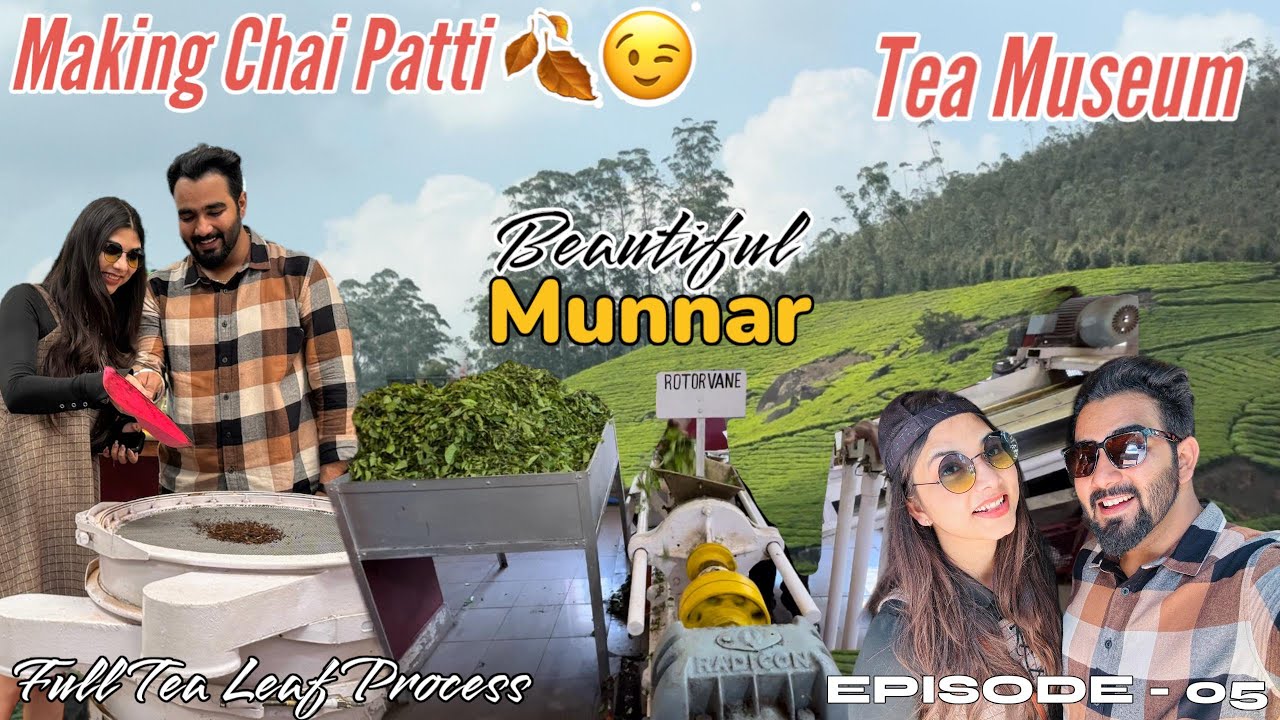 Munnar-Heart of Kerala|Making Tea leaf(Chai Patti)|Process of chai ...