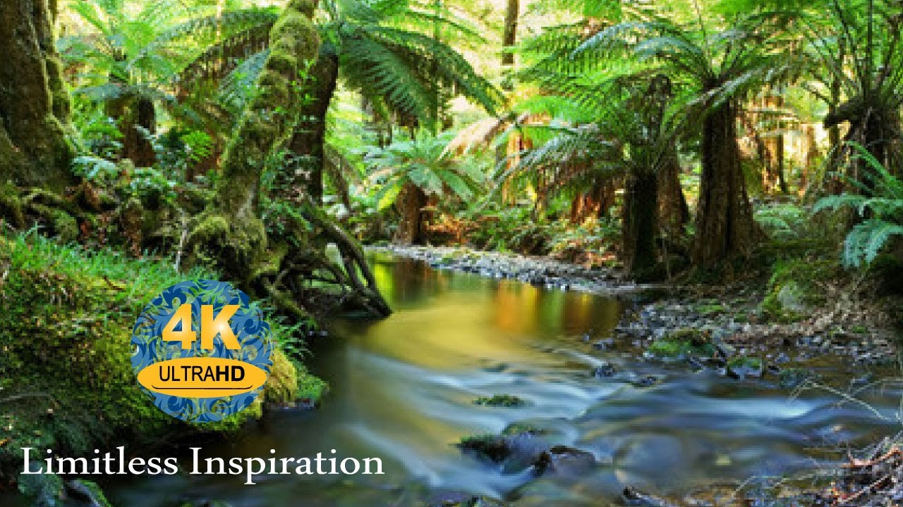 The most beautiful and relaxing nature scenes you'll ever see - YouTube