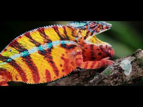 ALLAH'IN RAHMETİ OLMASAYDI ? | EBU HANZALA HOCA