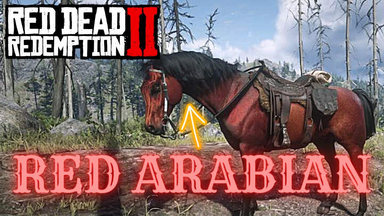 Searching for the Rare Red Chestnut Arabian Horse in Red Dead ...