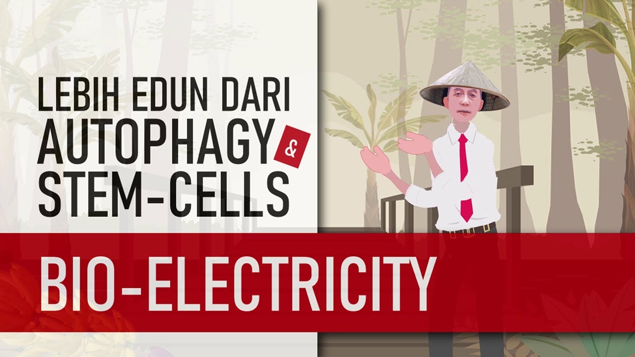 Bio-Electricity, Lebih Edun & Spektakuler Dari Autophagy & Stem-Cells ...