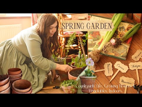 Growing a Spring Garden Indoors 🌿 Cozy Countryside Life | Microgreens & Seedlings