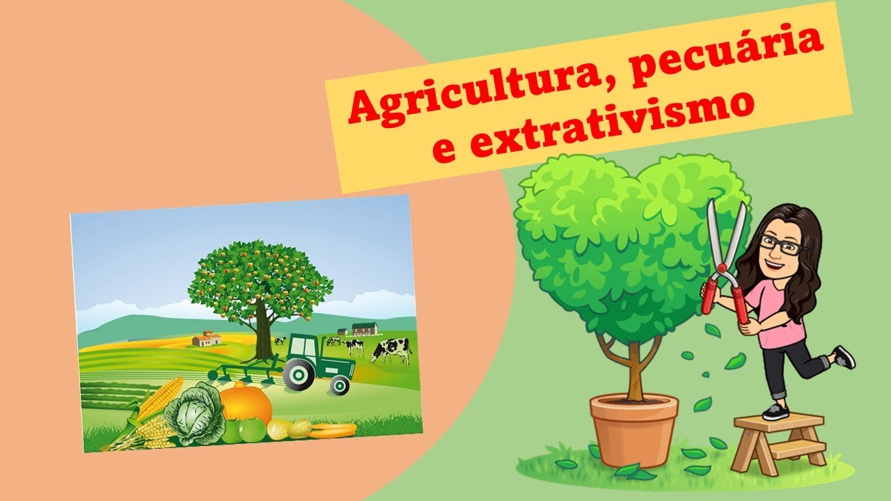 Agricultura, pecuária e extrativismo - Ensino Fundamental - YouTube