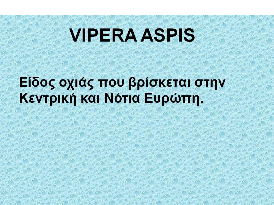 VIPERA ASPIS - ΑΝΤΙΜΕΤΩΠΙΣΗ ΟΞΕΩΝ ΚΑΤΑΣΤΑΣΕΩΝ ΜΕ ΟΜΟΙΟΠΑΘΗΤΙΚΗ - YouTube