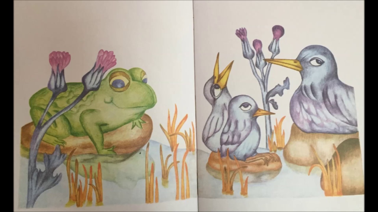 sapo verde - YouTube