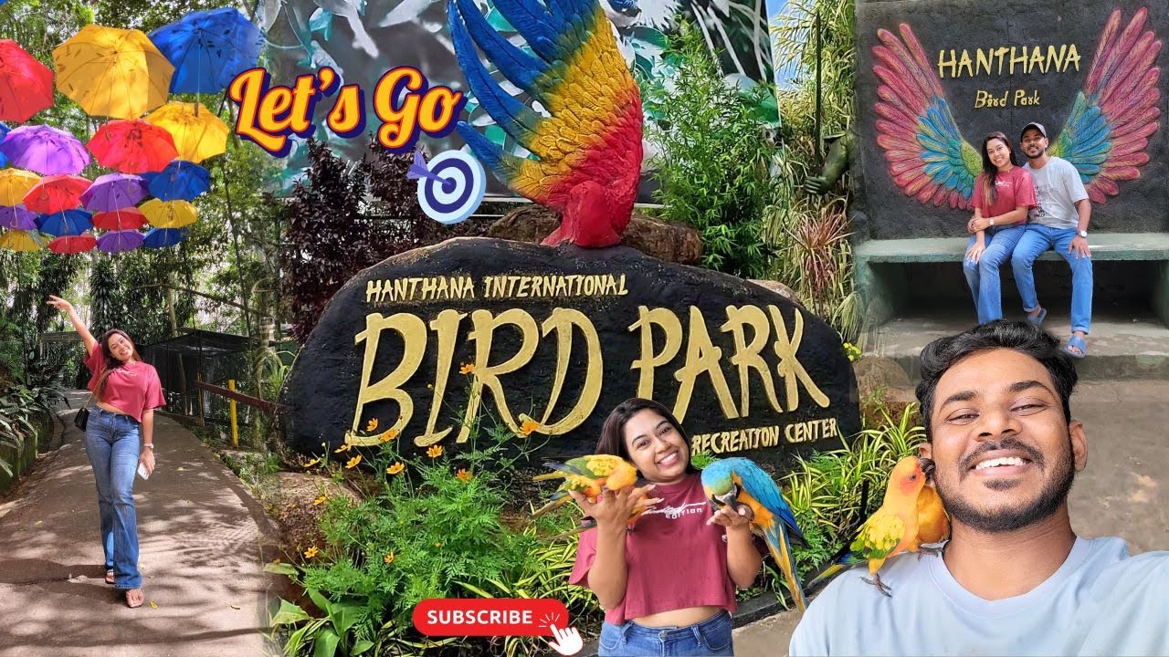 Hanthana Bird park 🦜| Kandy | Bird Feeding | Travel Guide| Vlog #3:3 # ...
