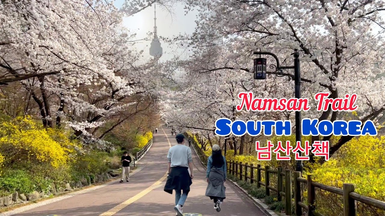 Trekking in South Korea | Namsan Trail 한국 트레킹 남산산책 #hiking #southkorea ...