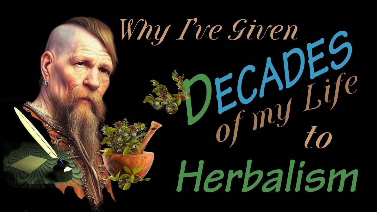 Why I’ve Given DECADES to Herbalism | Jesse Wolf Hardin's Story - YouTube