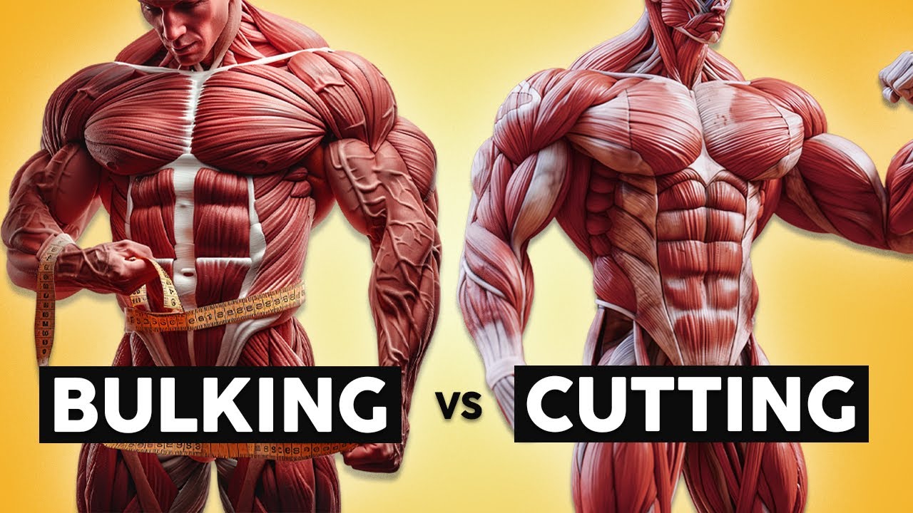 Bulking vs. Cutting: How To Build Muscles - YouTube