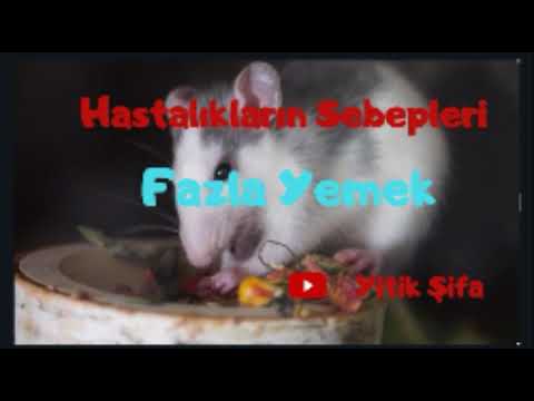 Hastalıkların Sebepleri 🌹 Fazla Yemek 🌹 #aidinsalih #gerçektıb