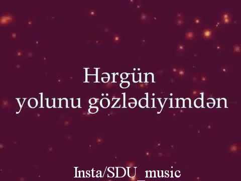 SDU MUSIC(38)