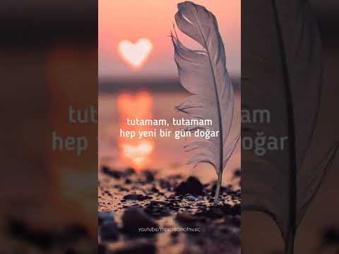 madrigal - seni dert etmeler #shorts