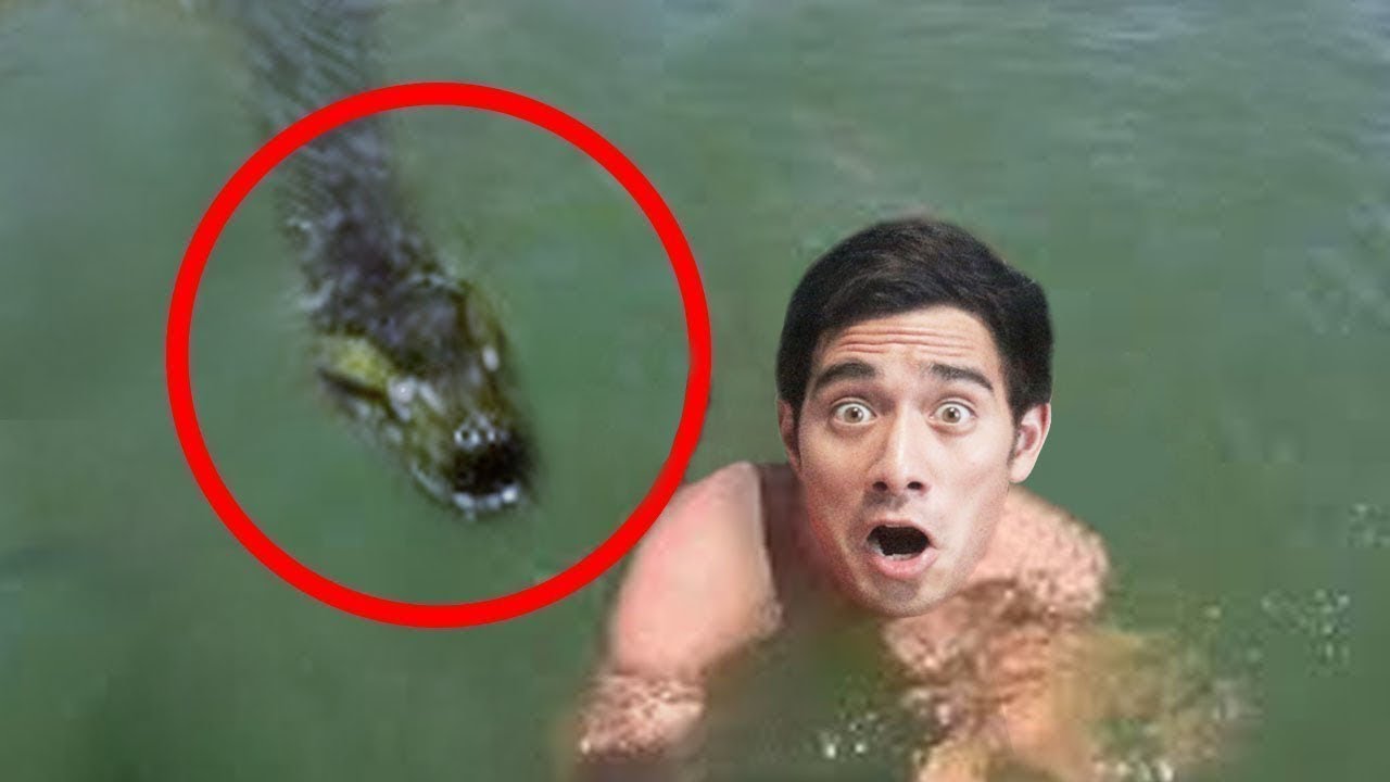 New Zach King magic vines compilation 2021 - Best magic tricks ever P55 ...