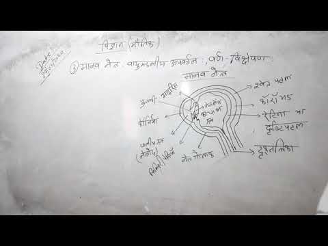 Class 10th science exercise 3 (MANAV NETRA) - YouTube