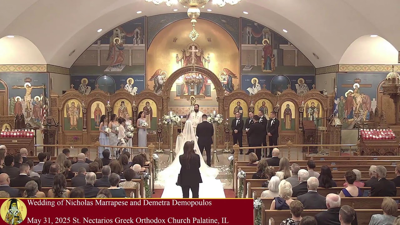 Wedding of Nicholas Marrapese and Demetra Demopoulos - YouTube