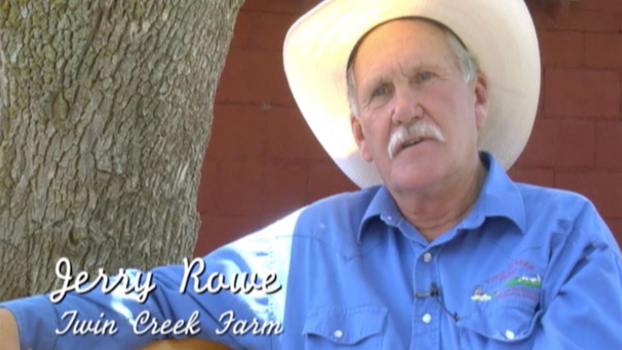 Twin Creek Dog Herding Camps - Training - Jerry Rowe - YouTube