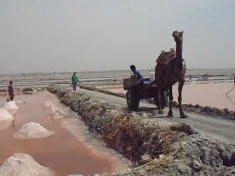नमक झील डीडवाना Salt Lake Didwana Nagaur Sodium | Noor Express Didwana ...