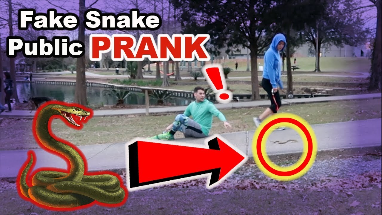 FAKE SNAKE PUBLIC PRANK **MUST WATCH** - YouTube