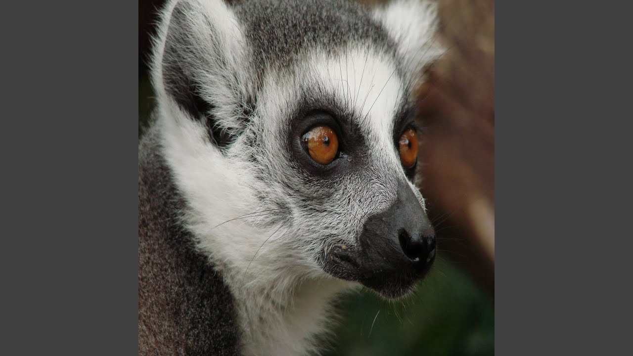 Liam Poopy Pants Poop Poo - YouTube