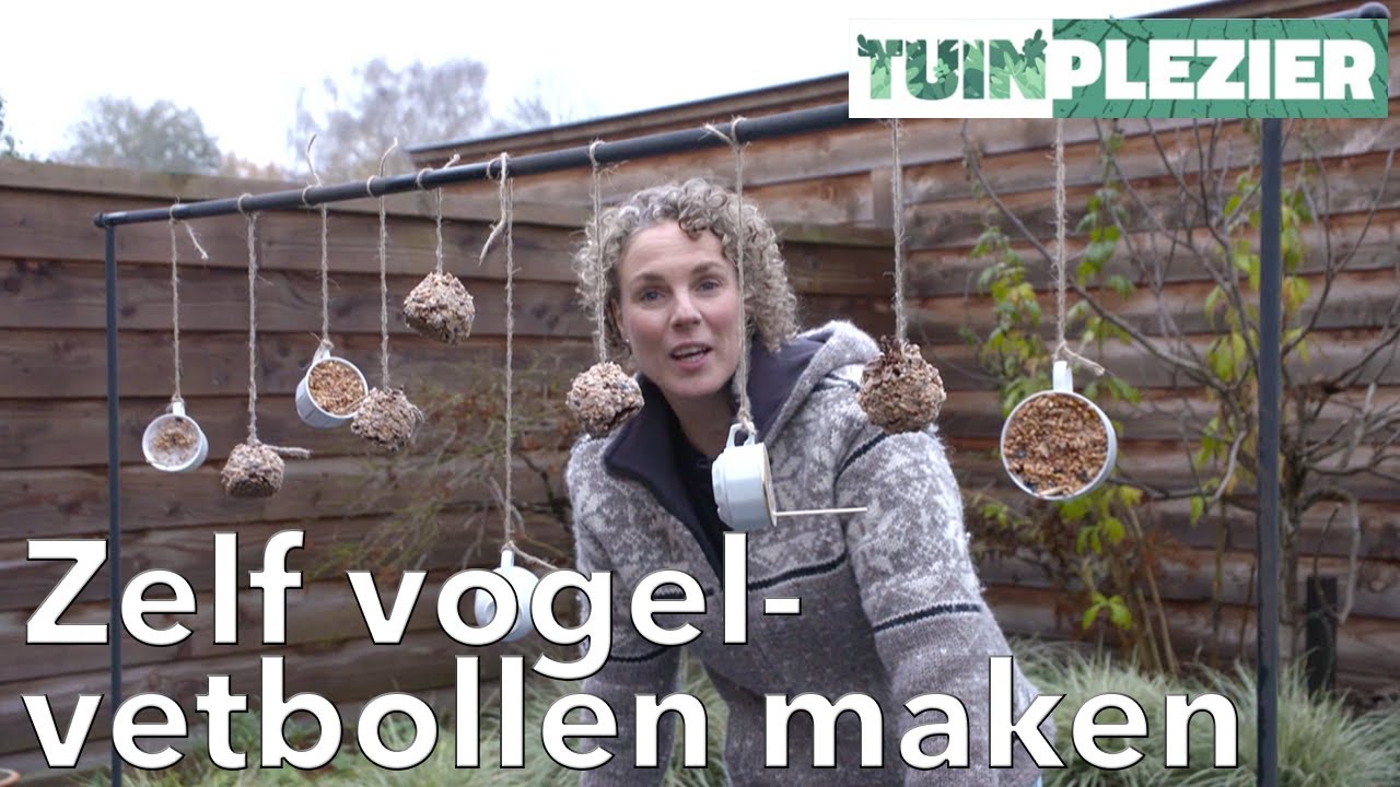 Zelf vogel vetbollen maken | TUINPLEZIER - YouTube