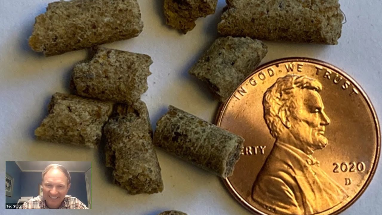 What is FEATHER MEAL?? - YouTube