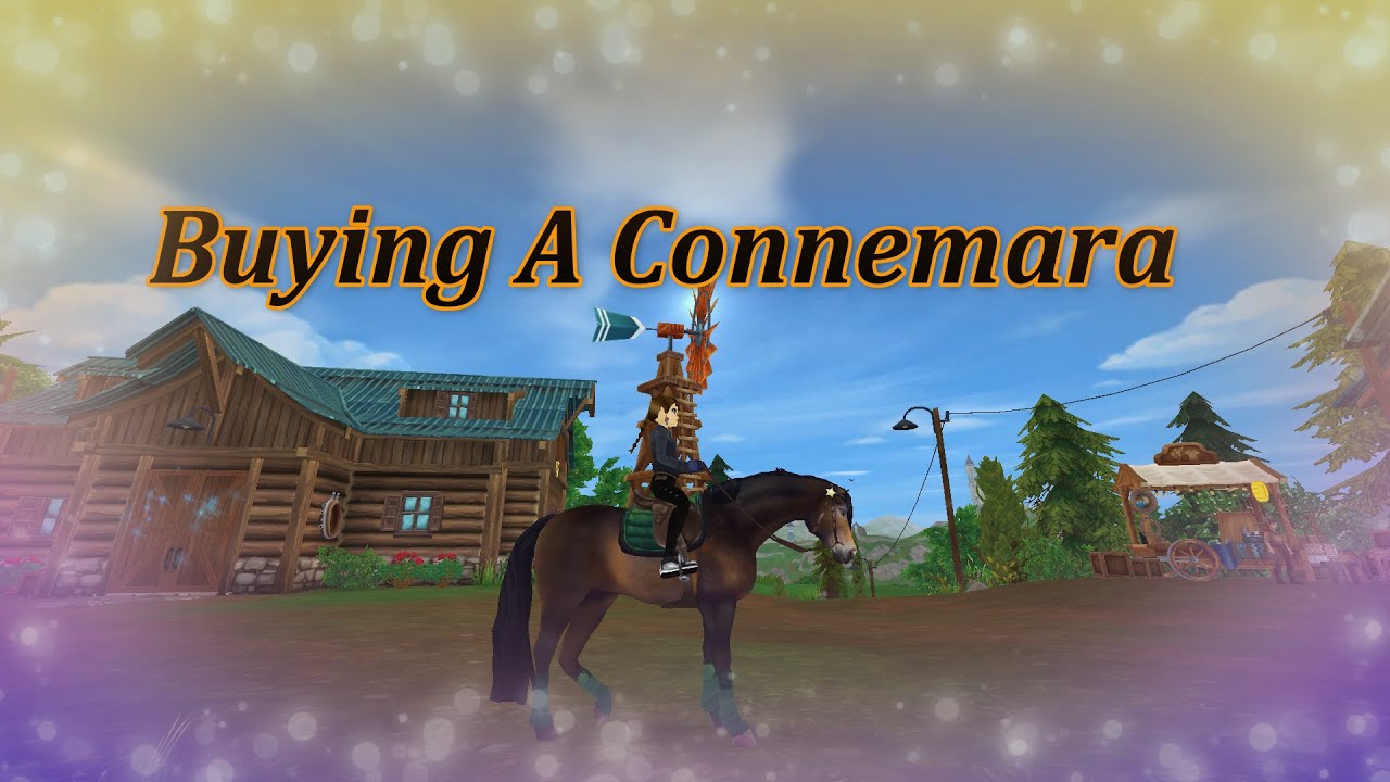 Buying a Connemara , Gaits and more!( SSO ) #12 - YouTube