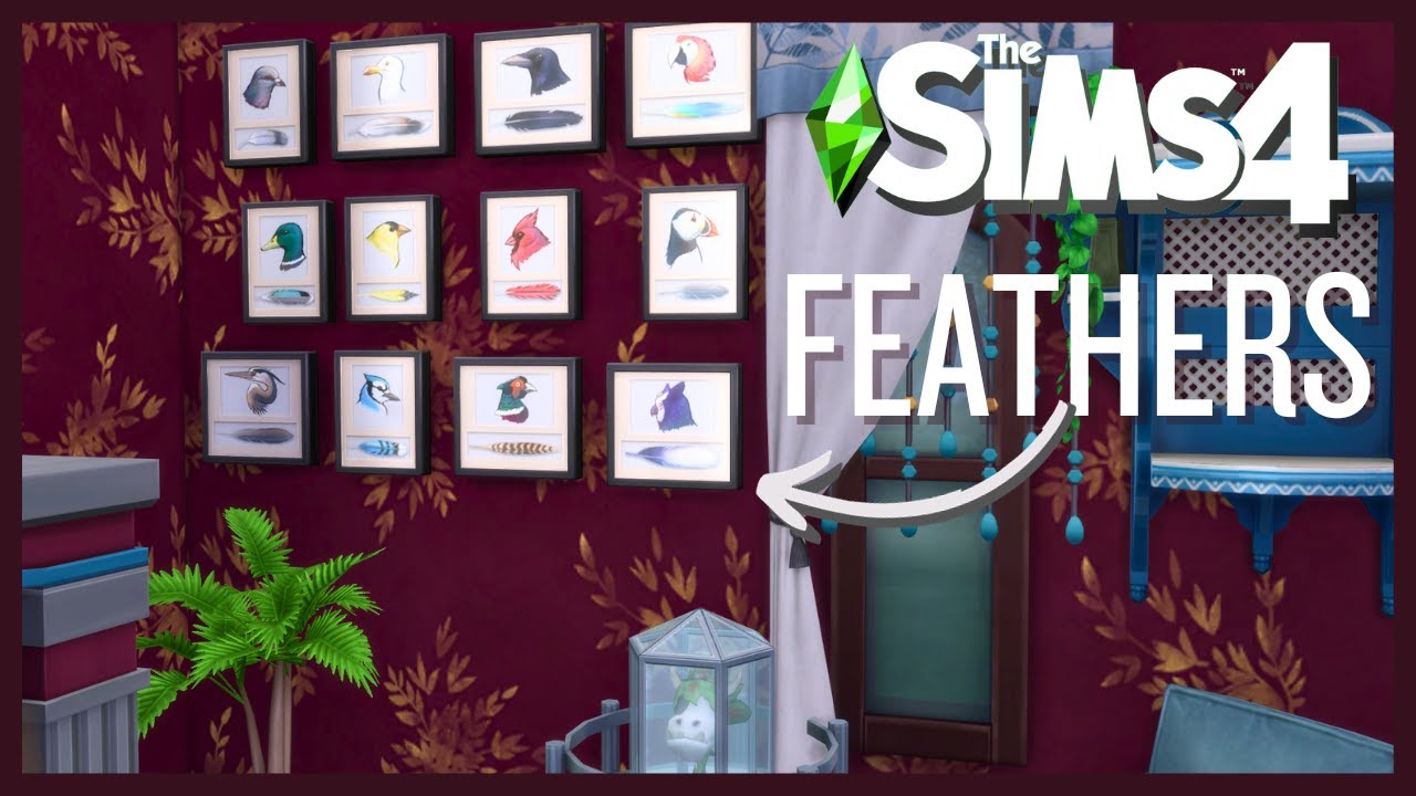 How to Collect Feathers (Sims 4 Collection Guide) - YouTube