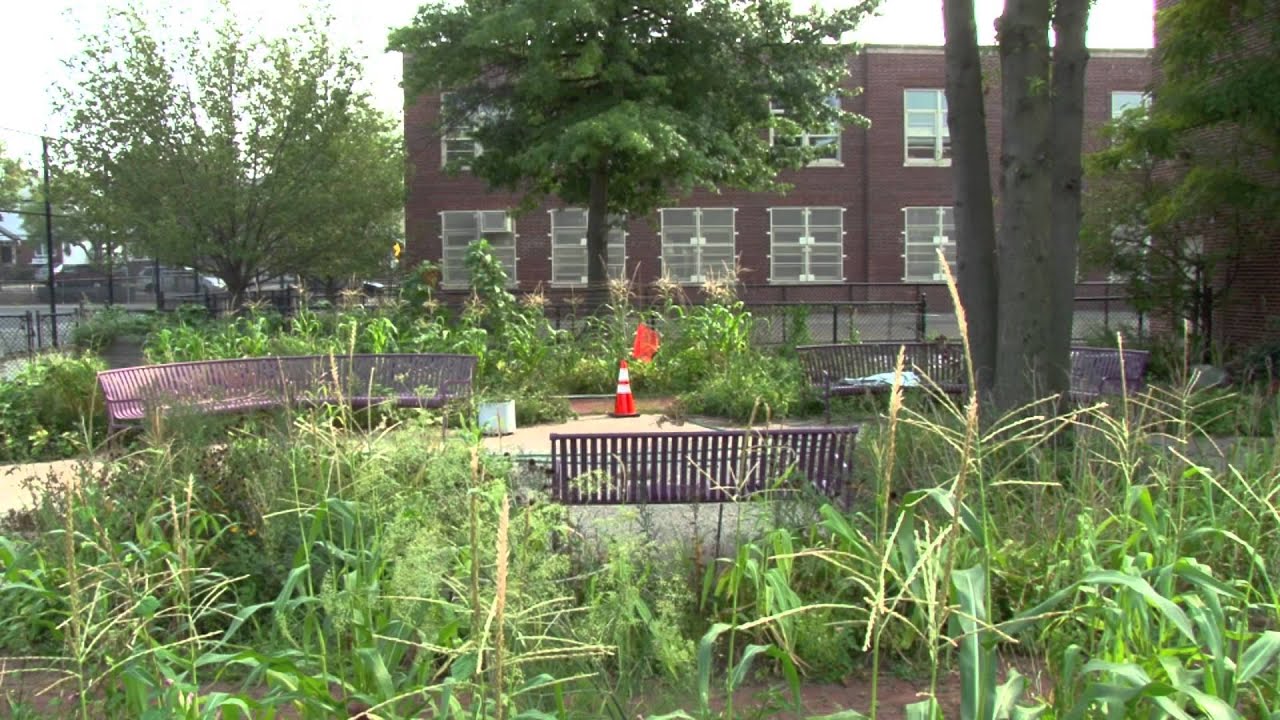 P.S. 184 Flushing Manor - YouTube