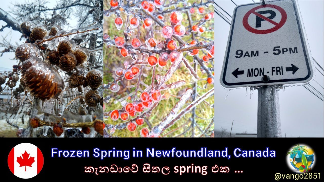 Frozen Spring in Newfoundland, Canada @vango2851 - YouTube