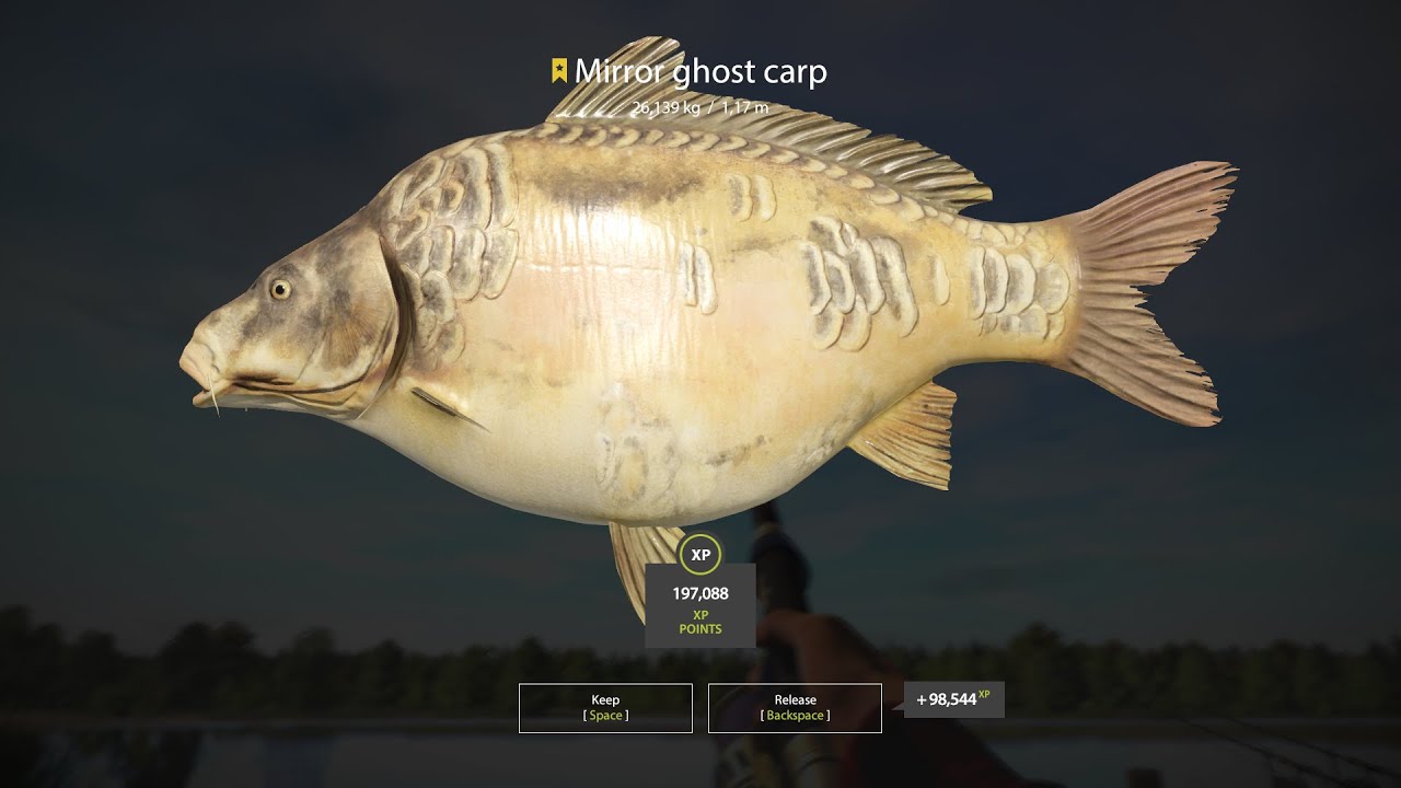 Trophy Mirror Ghost Carp 26,139kg | Amber Lake - YouTube