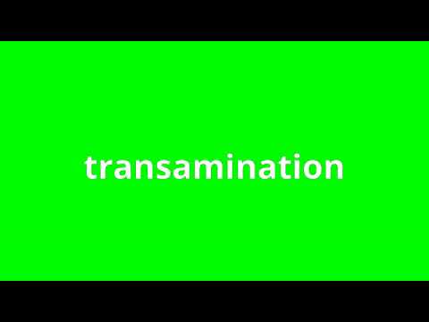 what is the meaning of transamination - YouTube