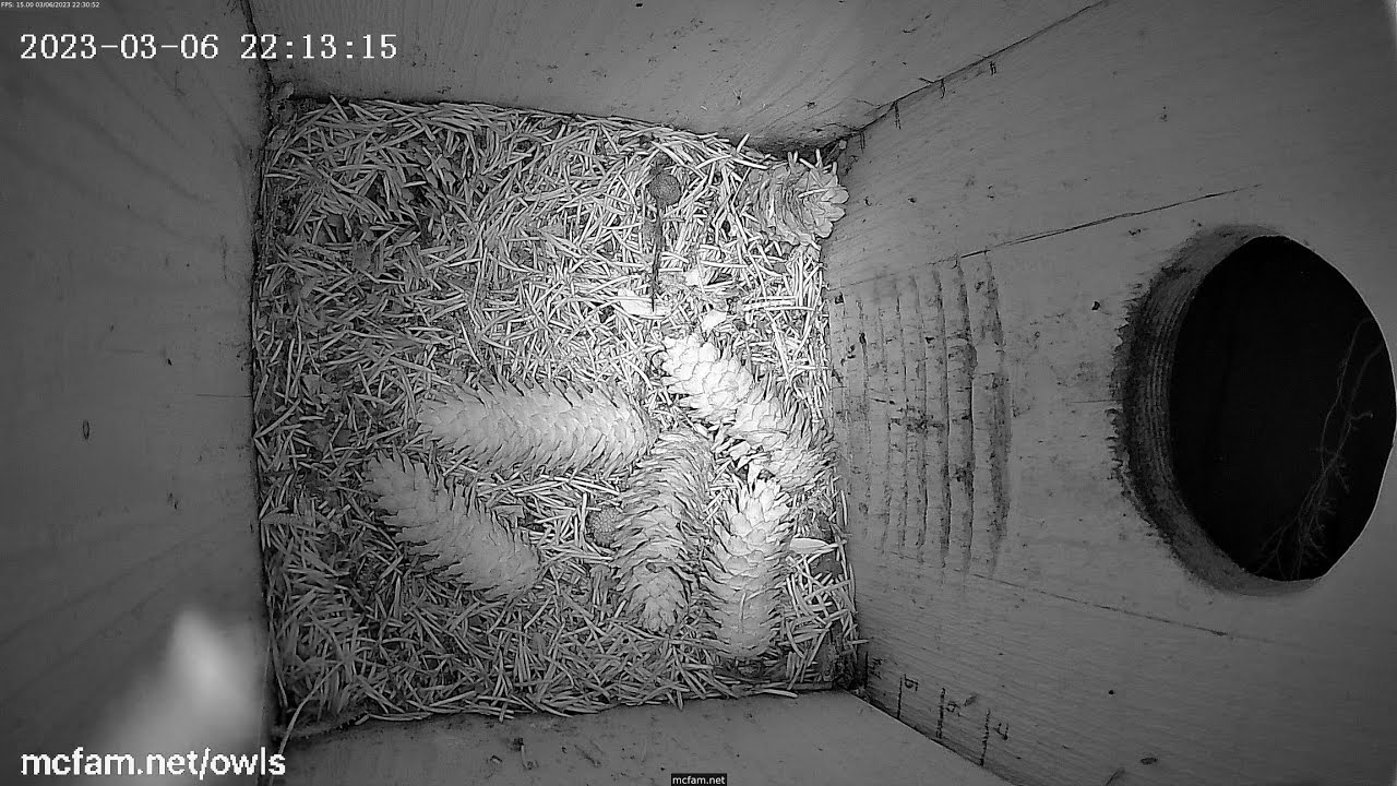 Alex & Athena 2023 - YouTube