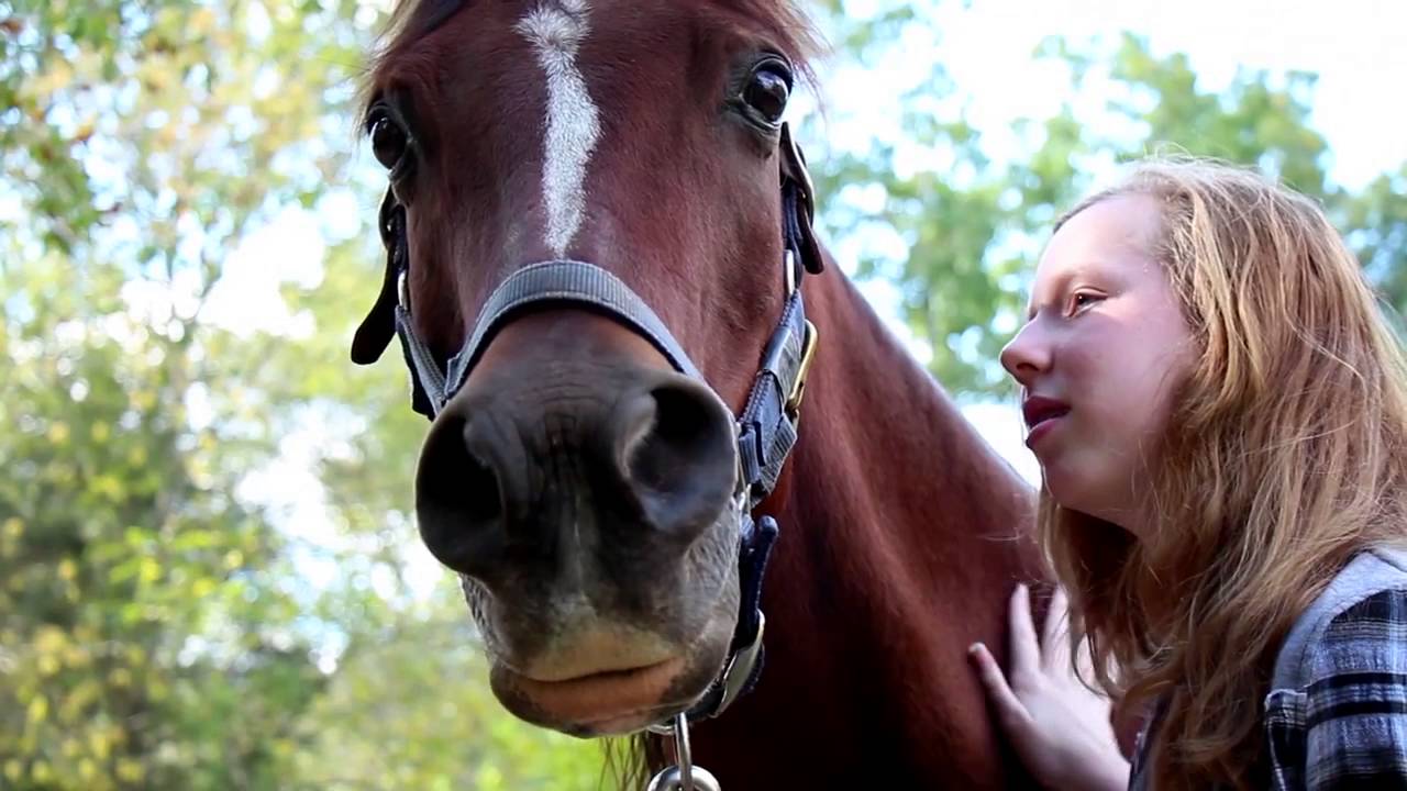 Take The Reins 10K - Clay's Story - YouTube