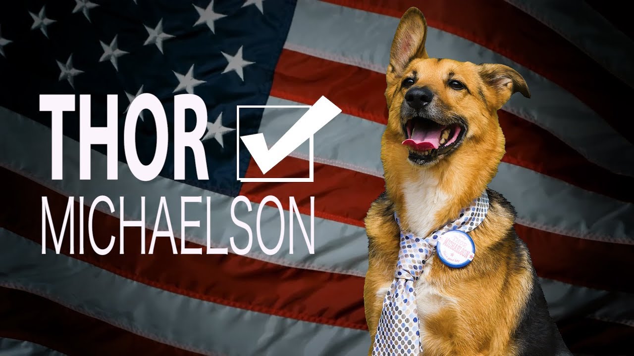 Thor Michaelson Campaign Ad - YouTube