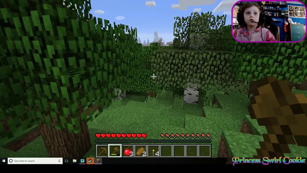 Princess Swirls Cookie creates a Minecraft World - YouTube