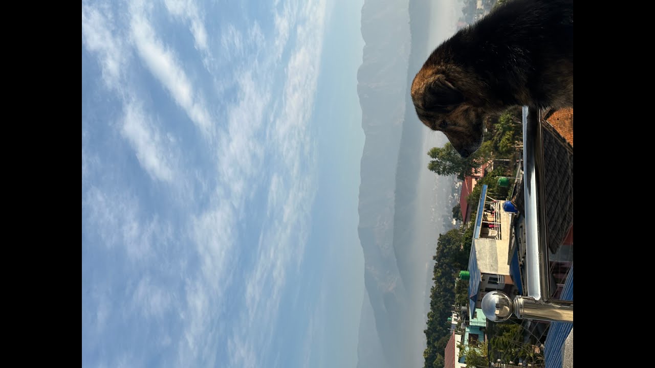 come back day? - YouTube