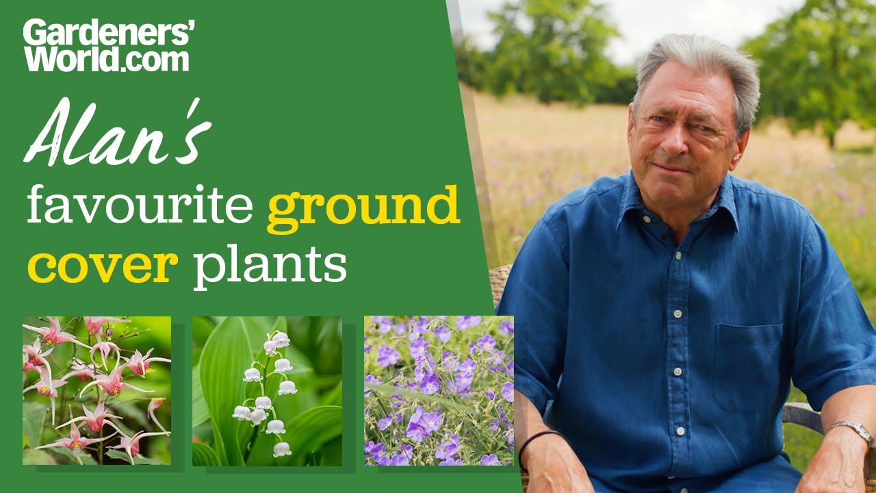 Five ground cover plants I LOVE | Alan Titchmarsh - YouTube