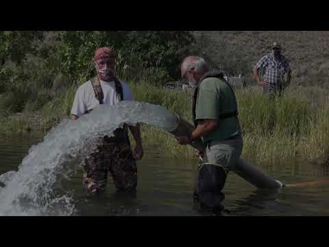 2020 06 09 stocking trout at Billy Clapp Lake FINAL2 - YouTube