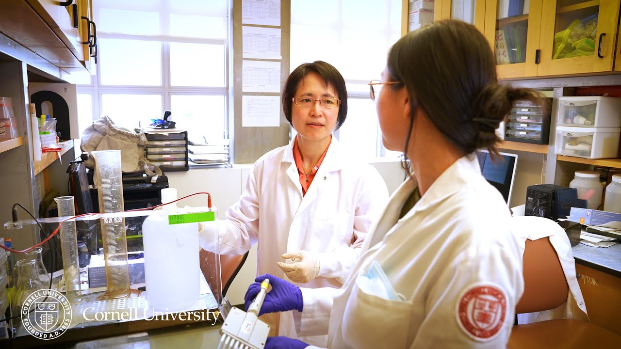 Research at Risk: Stopping metastatic cancer - YouTube